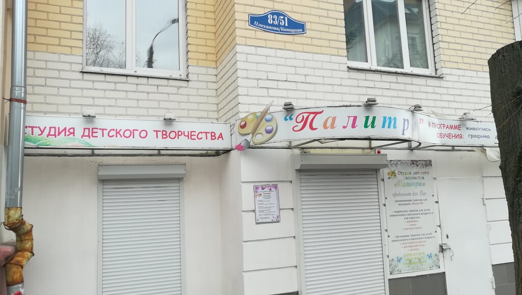 Kurs Detskaya studiya Palitra, Kaluga, foto
