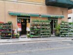 Agricola Nello di Brachini Francesco (Lazio, Roma, Nettuno, Via 25 Luglio, 10), tarım makineleri, ekipmanlar  Nettuno'dan