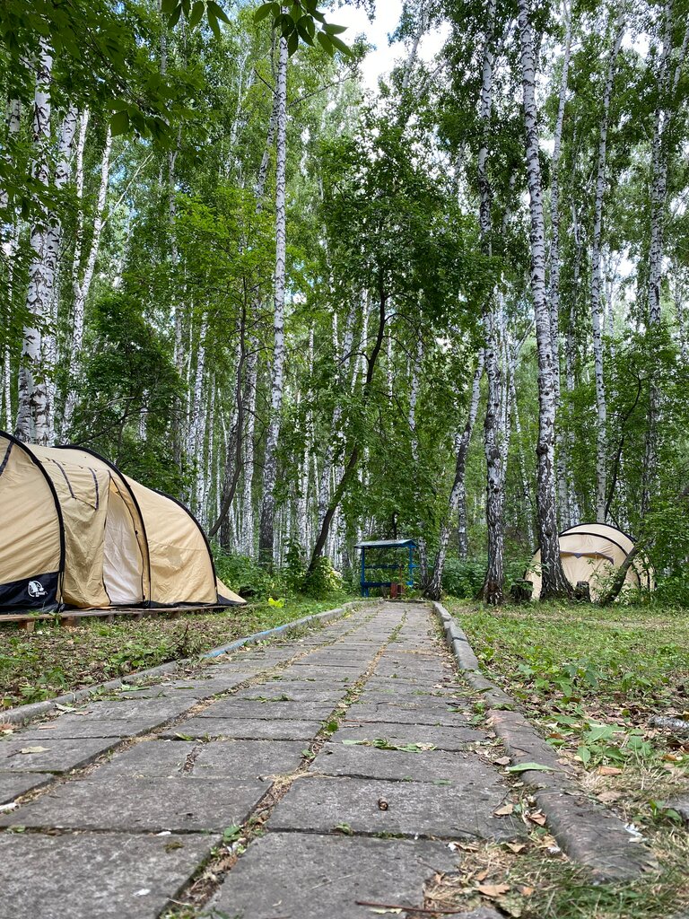 Resort oteller, tesisler Олимп, Novosibirskaya oblastı, foto