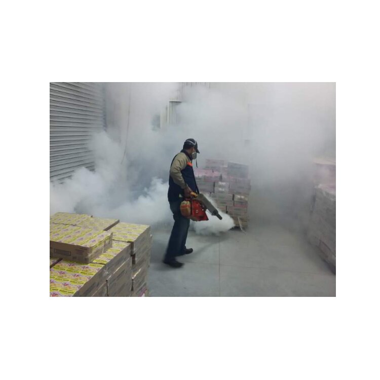 Haşere ilaçlama firmaları Fuhercasa, Managua, foto