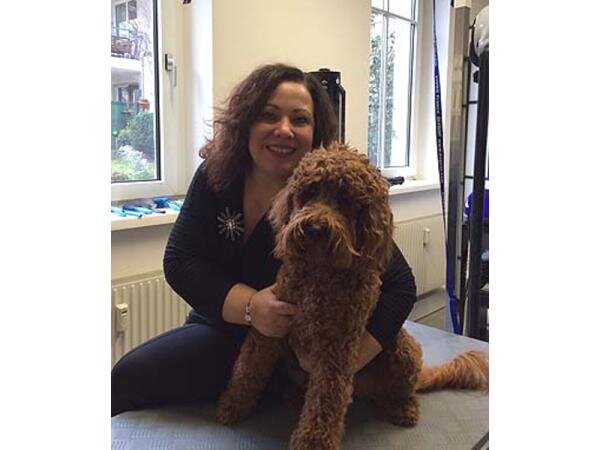 Evcil hayvan kuaförleri Fellwerkstatt Hundesalon & Zubehör, Linz, foto