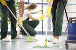 Profer Societa'Cooperativa (Scali Cerere No:3, Livorno), evden eve nakliye  Livorno'dan