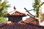 R & P Dachbau (Berlin, Ringelnatzstraße, 41), çatı ve çatı materyalleri  Berlin'den