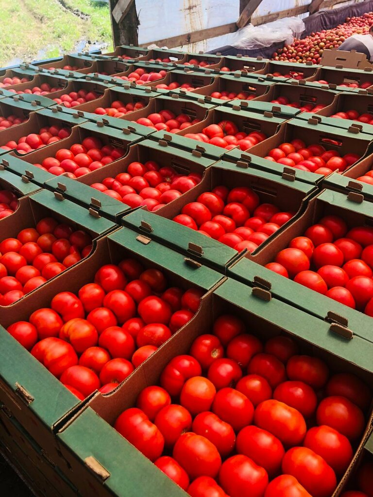 Manavlar Овощи-фрукты, Moskova ve Moskovskaya oblastı, foto