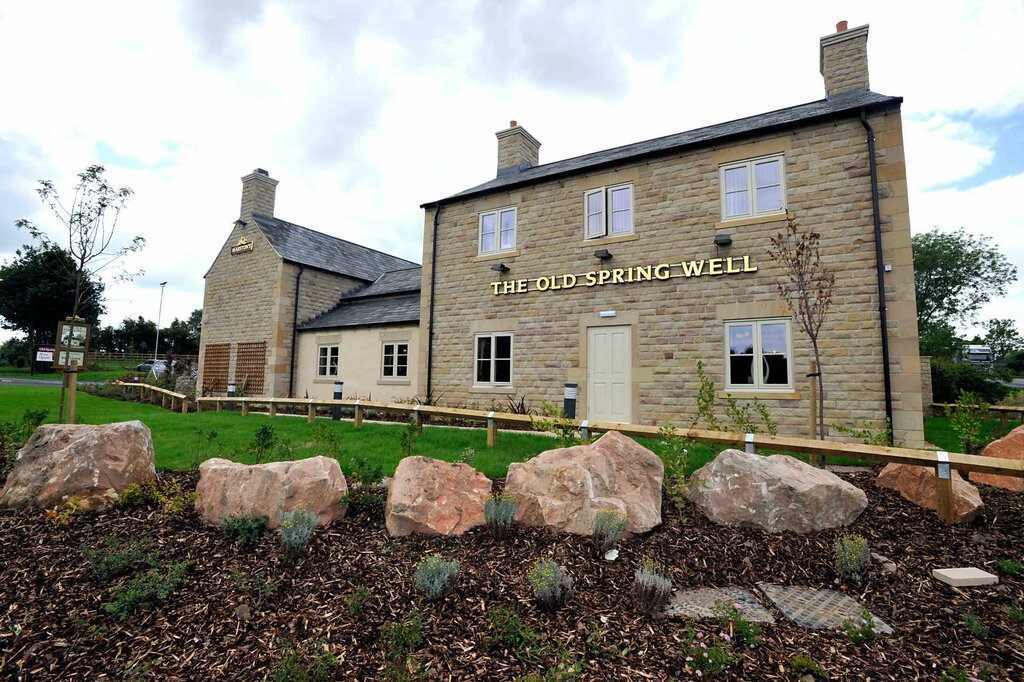 Bar Curious Cow of Harrogate, Kuzey Yorkshire County, foto