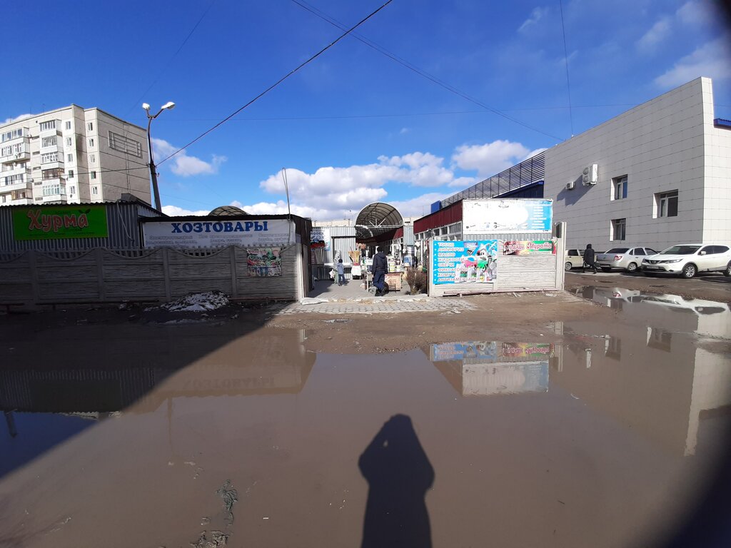 Kafe Хурма, Semey, foto