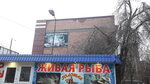Живая рыба (pereulok Michurina No:3А), balık ve deniz ürünleri  Şahty'den