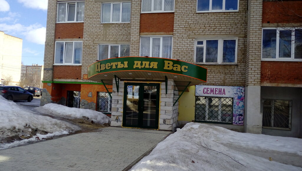 Çiçekçiler Цветы для Вас, Kudymkar, foto