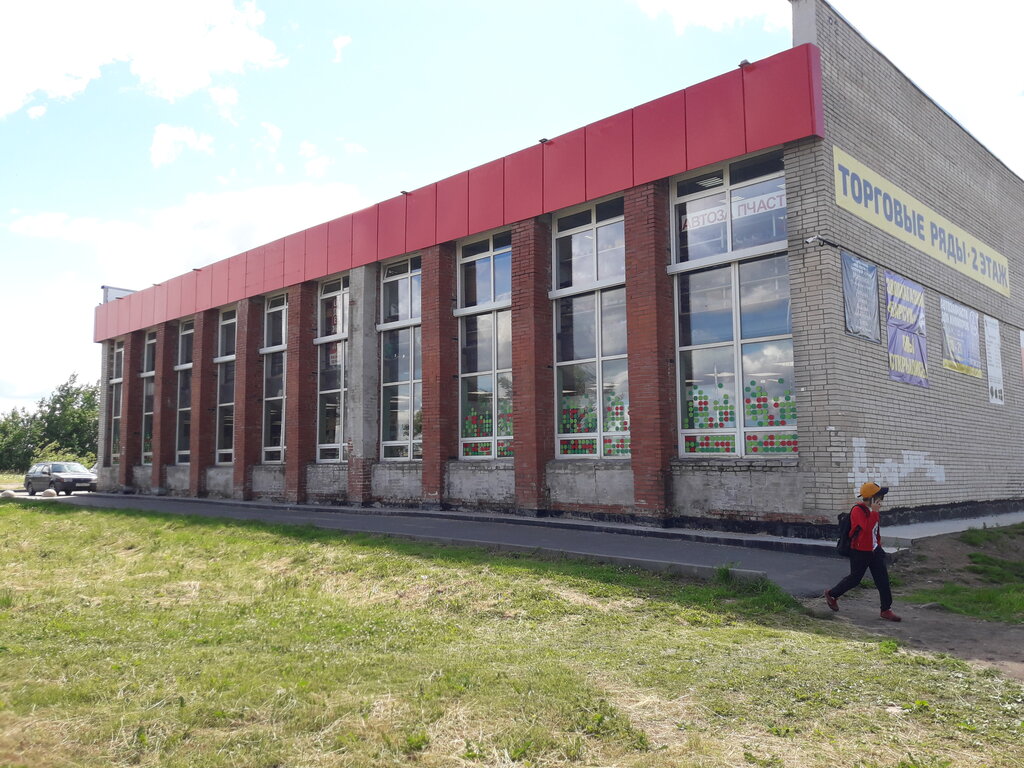 Sürücü kursları Ladoga, Peterhof, foto