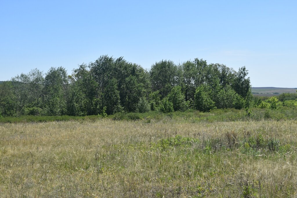 Doğa Русско-Швейцарские колки, Orenburgskaya oblastı, foto