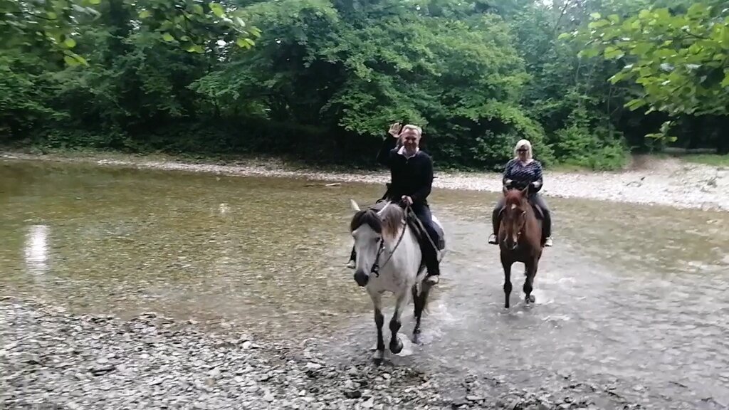 At ve binicilik kulüpleri Horse Rides Amazons, Krasnodarski krayı, foto