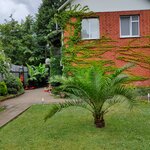 Gostevoy dom Teryayev-ruchey (Magistralnaya Street No:28А), otel  Soçi'den