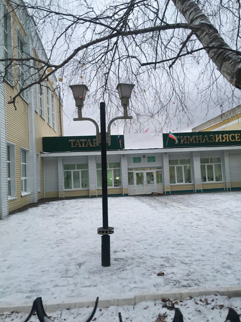 Fen lisesi, sosyal bilimler lisesi Татарская гимназия № 14 имени Хади Атласи Бугульминского, Bügülme, foto