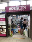 Котопёс (Shelkovichnaya ulitsa No:122/126А), petshop  Saratov'dan