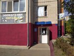 Piranya Kamyshin (No:9А, 3-y mikrorayon), petshop  Kamyşin'den
