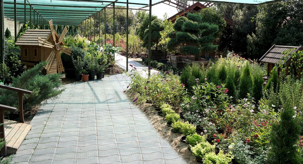 Sera ve bahçe ürünleri Agt-asia. Kg, Bişkek, foto