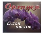 Orkhideya (Solnechnaıa kóshesi No:2), çiçekçiler  Zyrianovsk'tan