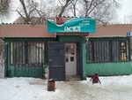 Asel (Sagadat Nurmagambetov Street No:29А), market  Aktöbe'den