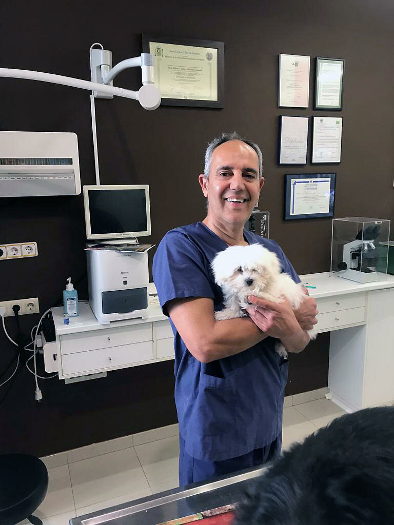 Veteriner klinikleri Clínica Veterinaria Haciadama, Galisya, foto