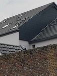 Nobel Toiture (Hainaut, Frameries, Rue de Colfontaine, 310), çatı ve çatı materyalleri  Hainaut'tan
