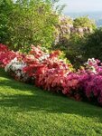 Casa Vacanze Le Violette (Lombardy, Como, Via per Como, 40), otel  Lombardiya'dan