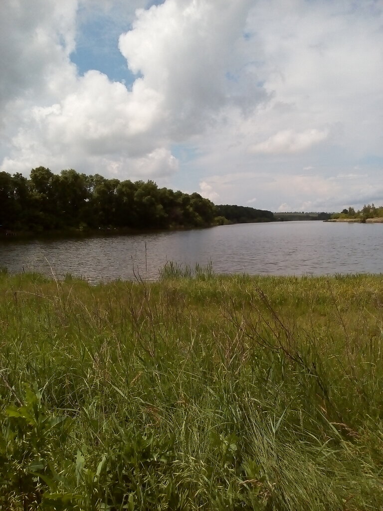 Balık çiftçiliği ve toptancıları Зарыбление, Harkivska oblastı, foto