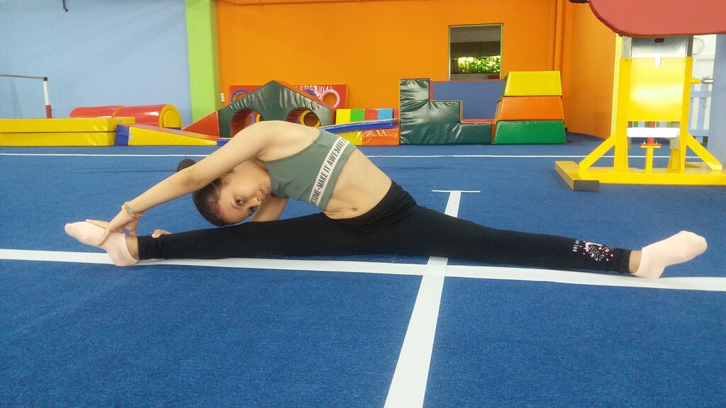 Spor ve jimnastik salonları Olimpia Cimnastik Bahçeşehir, İstanbul, foto