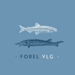 Trout farming (Zarechnaya ulitsa No:15, selo Studyono-Yablonovka), balık çiftçiliği ve toptancıları  Volgogradskaya oblastından