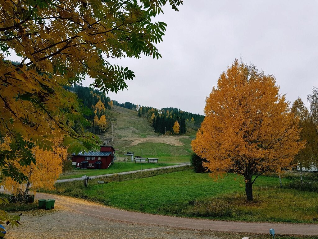 Otel Bergvallens Stugby, Jamtland Vilayeti, foto