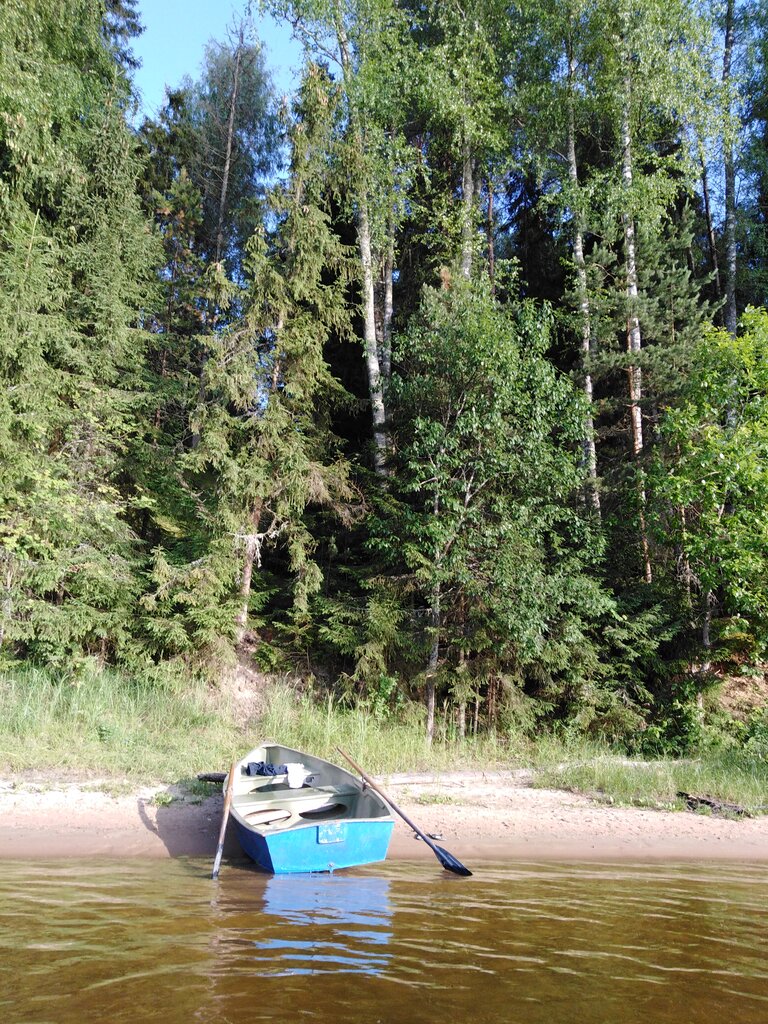 Plaj Beach, Moskova ve Moskovskaya oblastı, foto