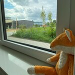 FRÖBEL-Kindergarten Zentrum Nord (Anton-Bruchausen-Straße No:4, Münster), anaokulları  Münster'den