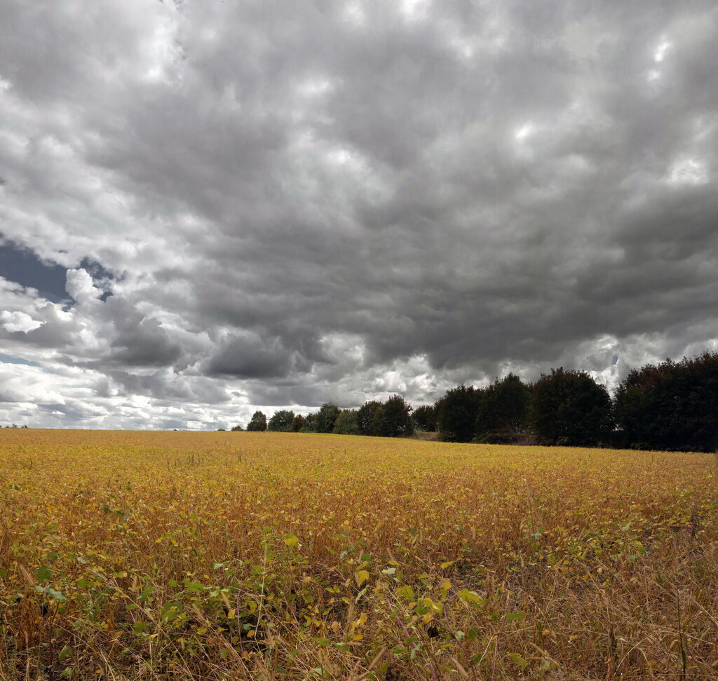 Doğa koruma alanı урочище Долгое, Belgorodskaya oblastı, foto
