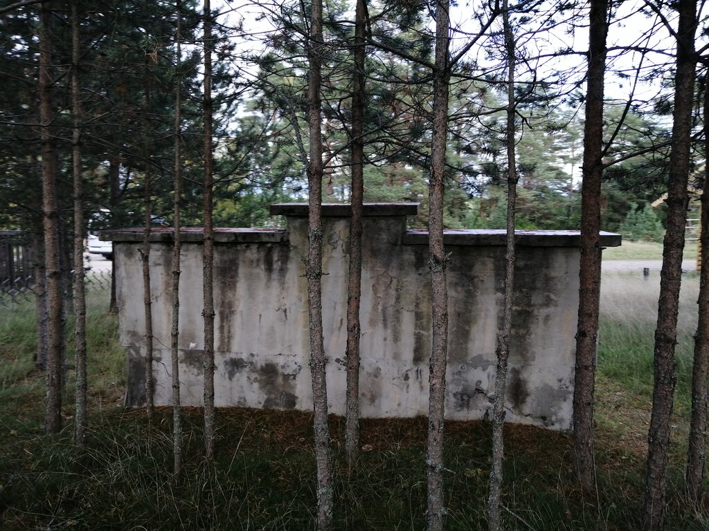 Anıt, heykel Место массового захоронения жертв концлагерей, Karelya, foto