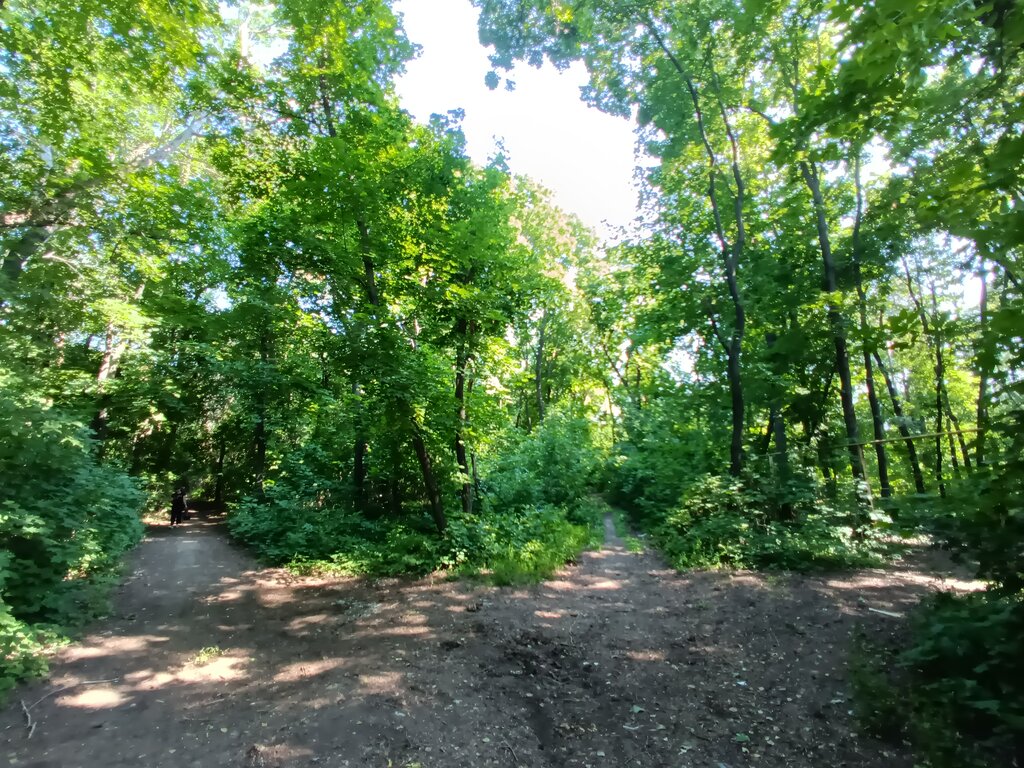 Kültür ve eğlence parkları Усадебный парк, Samarskaya oblastı, foto