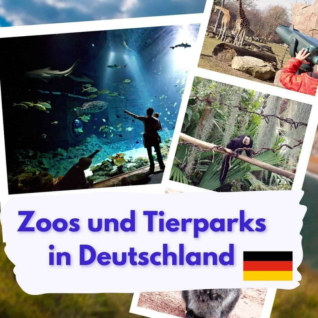 Turizm danışma büroları AbenteuerFreizeit - Aktivitäten, Ausflugsziele & Reisen, Koblenz, foto