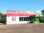 Medved (Dostoevskogo Street No:23А), jant ve lastikçiler  Rostov'dan