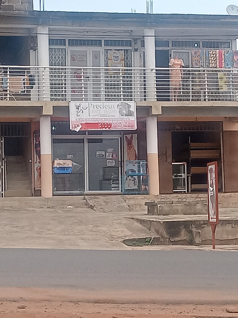 Petshop Precious pet shop, Dünya, foto