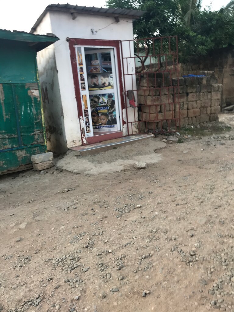 Berberler Senate Grooming, Dünya, foto