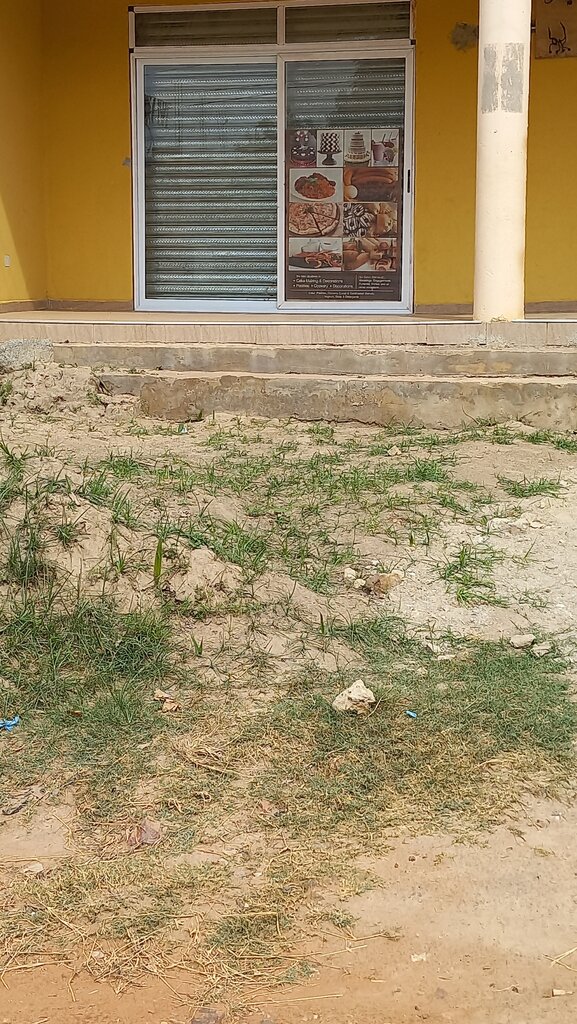 Ekmek fırını Complete Women Catering services, Dünya, foto