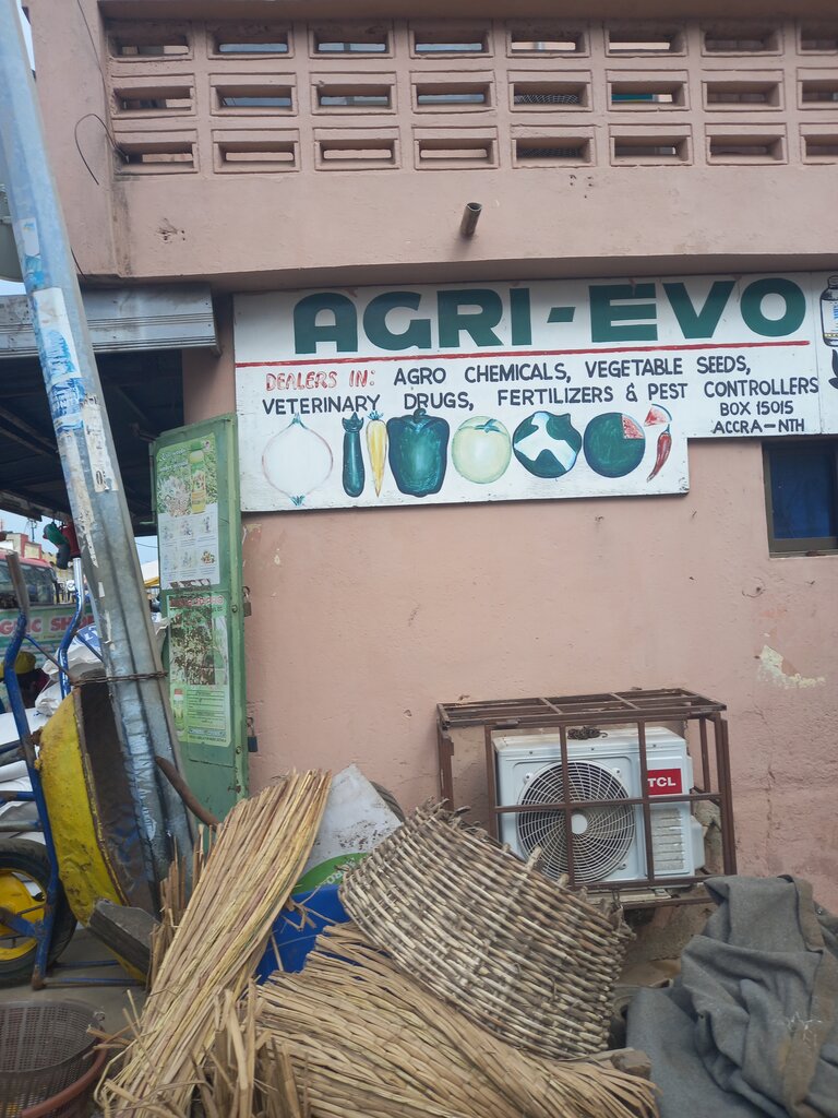 Tohum satan yerler Agri-evo, Akra, foto