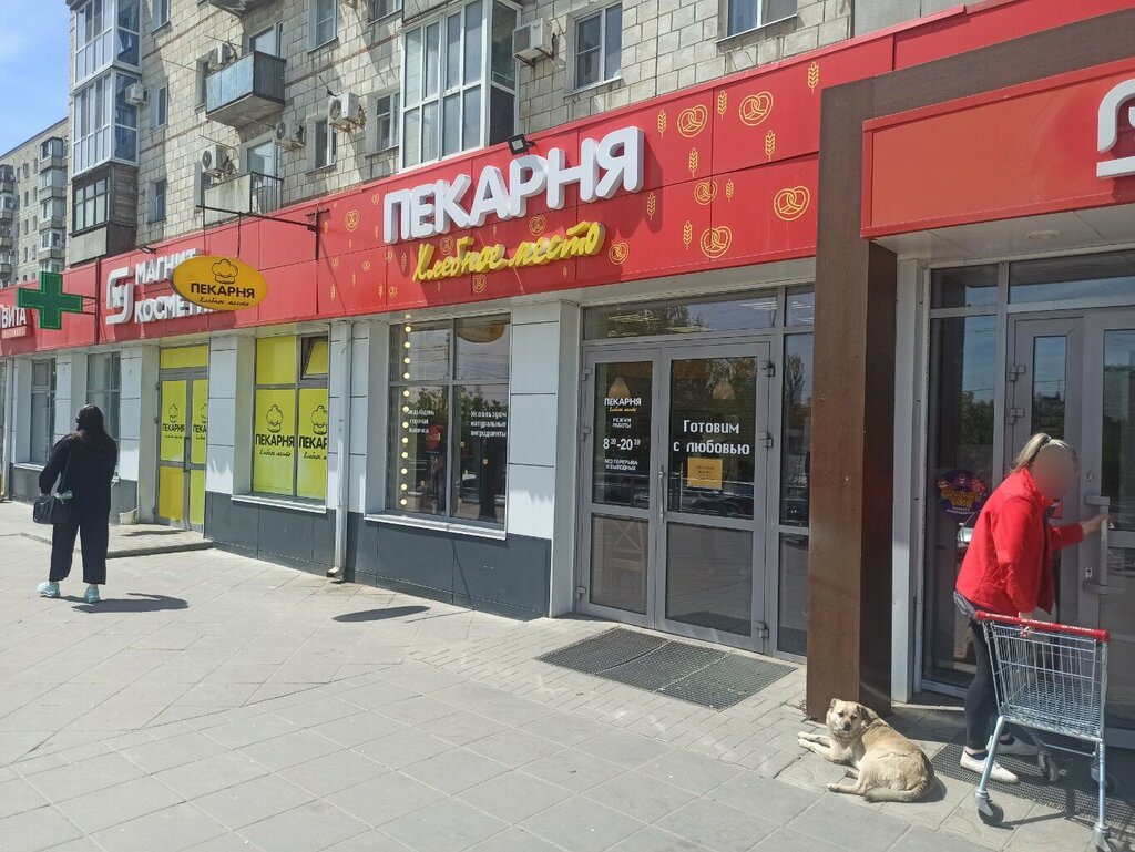 Ekmek fırını Хлебное место, Volgograd, foto