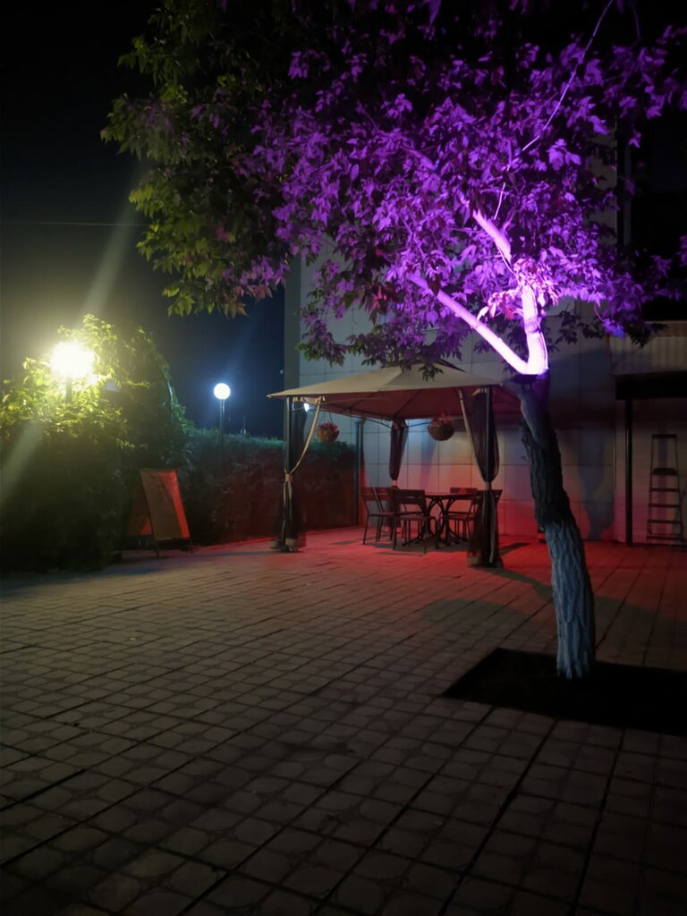 Kafe Летто, Altayski krayı, foto