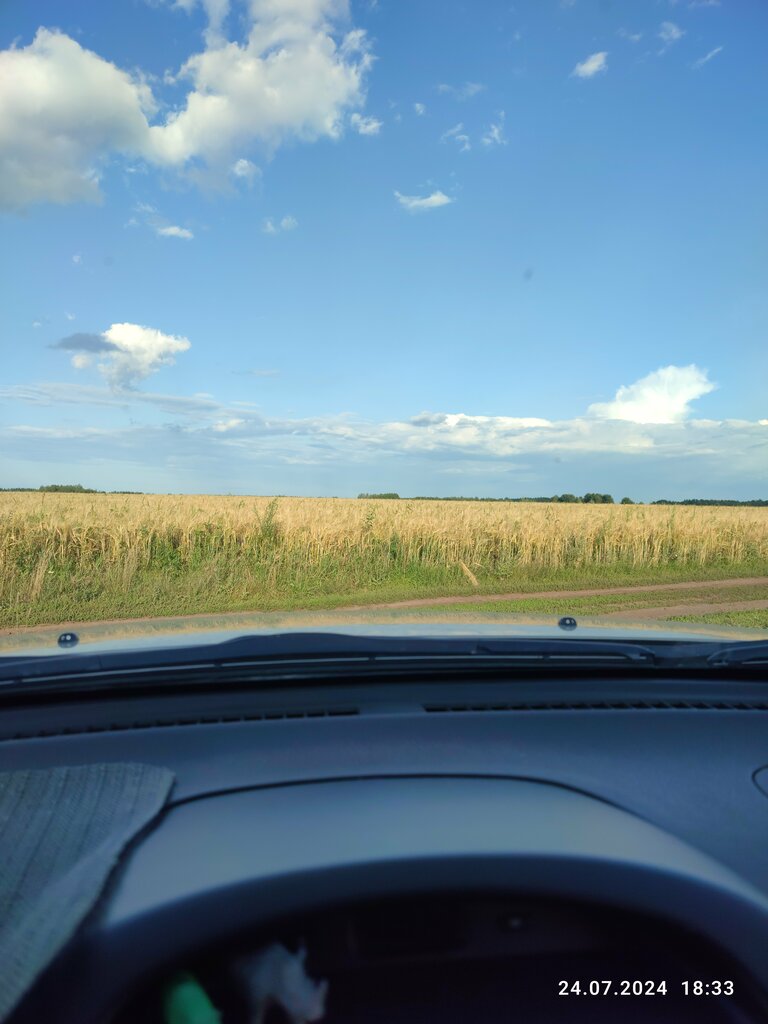 Plaj Пляж, Riazanskaya oblastı, foto
