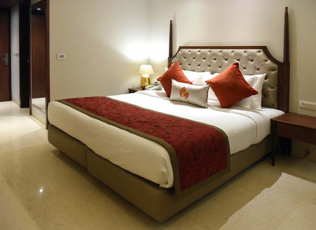 Otel The Exotica Grand, Delhi, foto