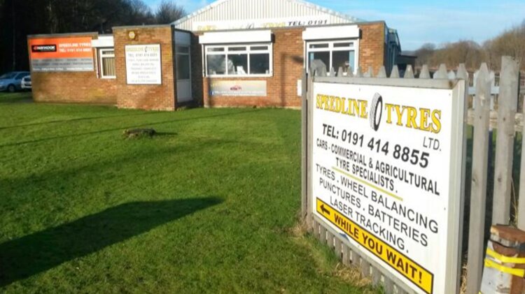 Jant ve lastikçiler Speedline Tyres Ltd, İngiltere, foto