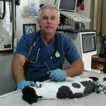 Alın Veteriner Kliniği (Zonguldak Cad., No:34, Karabük, Karabük), veteriner klinikleri  Karabük'ten