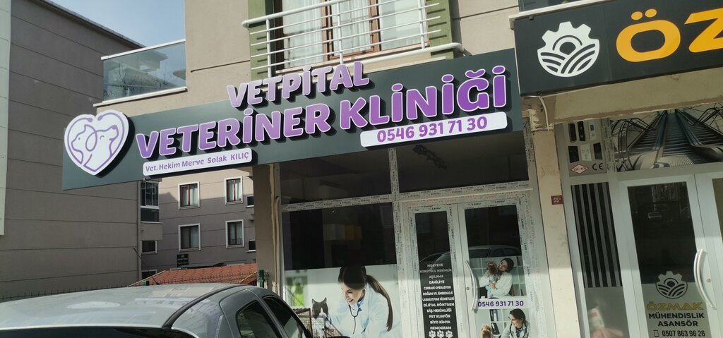 Veteriner klinikleri Lüleburgaz Vetpital Veteriner Kliniği, Lüleburgaz, foto