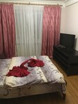Ok Apartment (Mechnykova Street No:8), kısa süreli konaklama  Kiev'den
