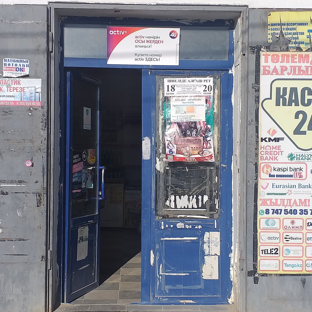 Market Grocery Store, Kızılorda eyaleti, foto