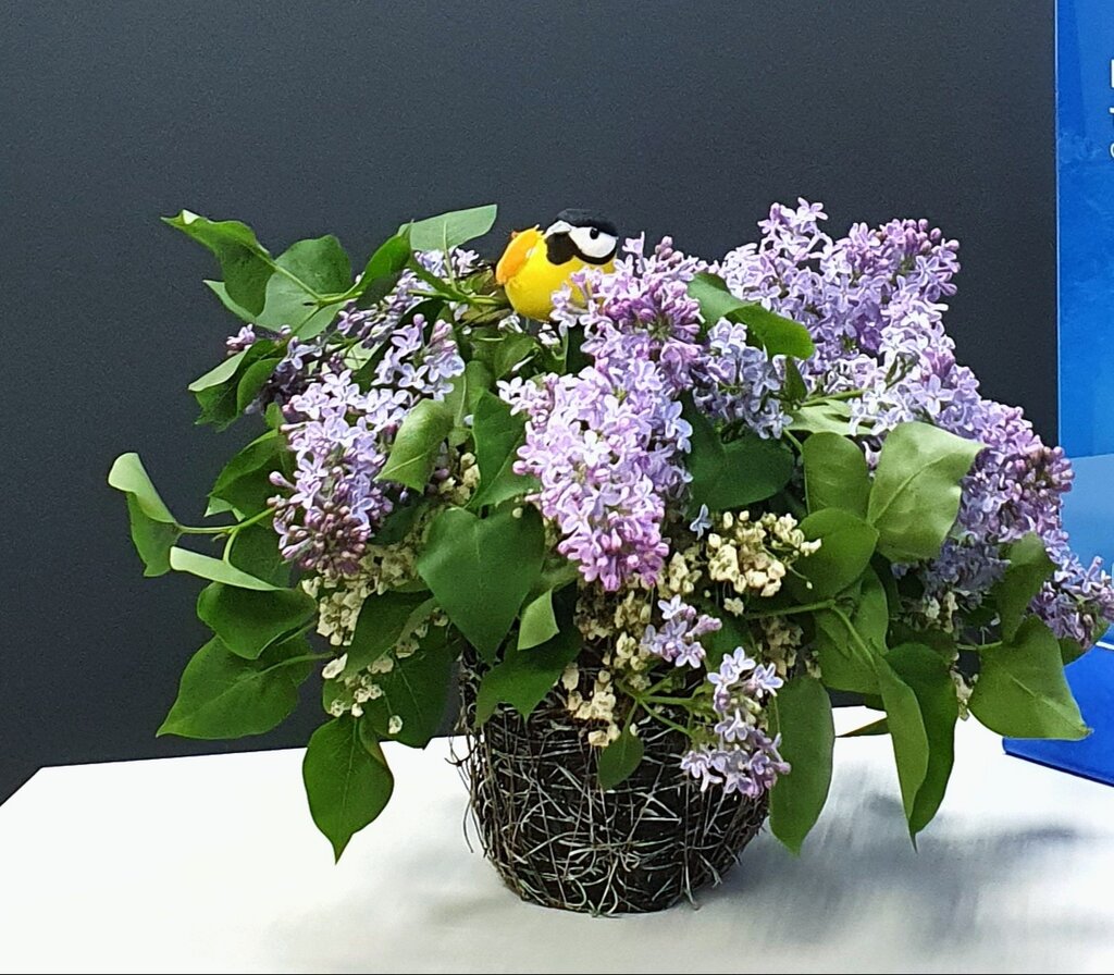 Çiçekçiler Avika Flowers, Dolgoprudny, foto